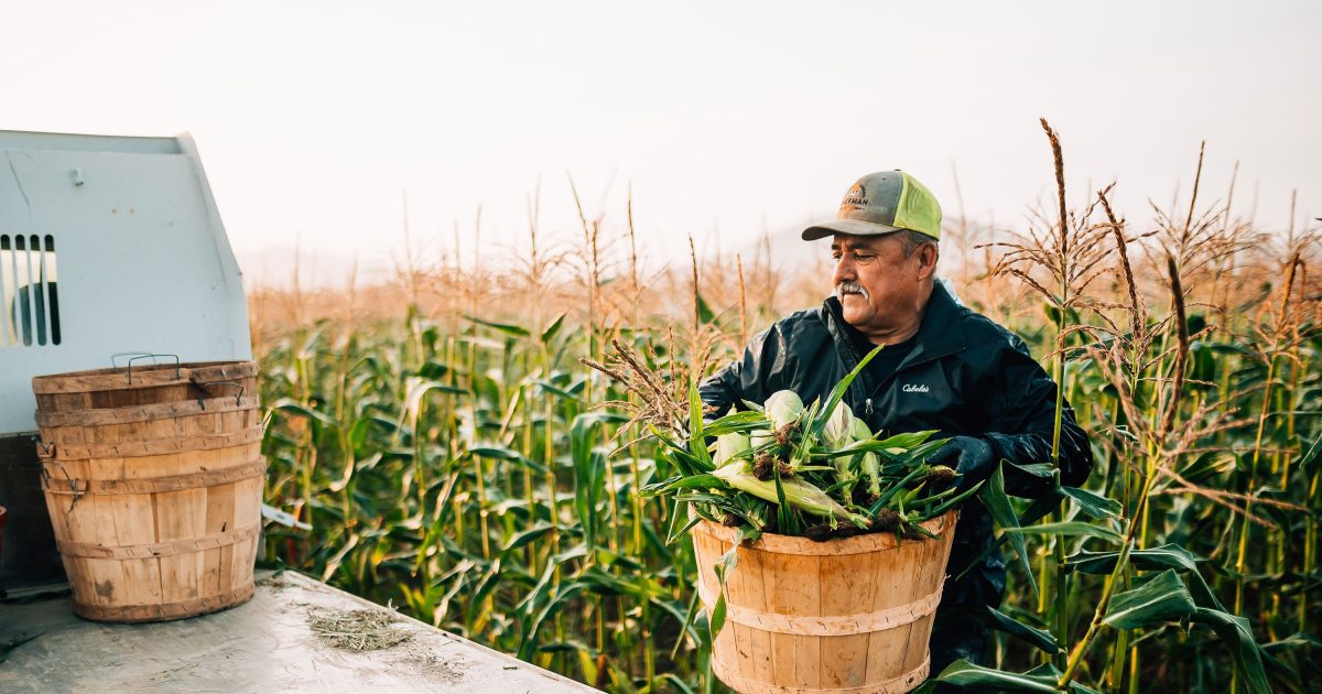 Saltbox Farm - NHVBGA